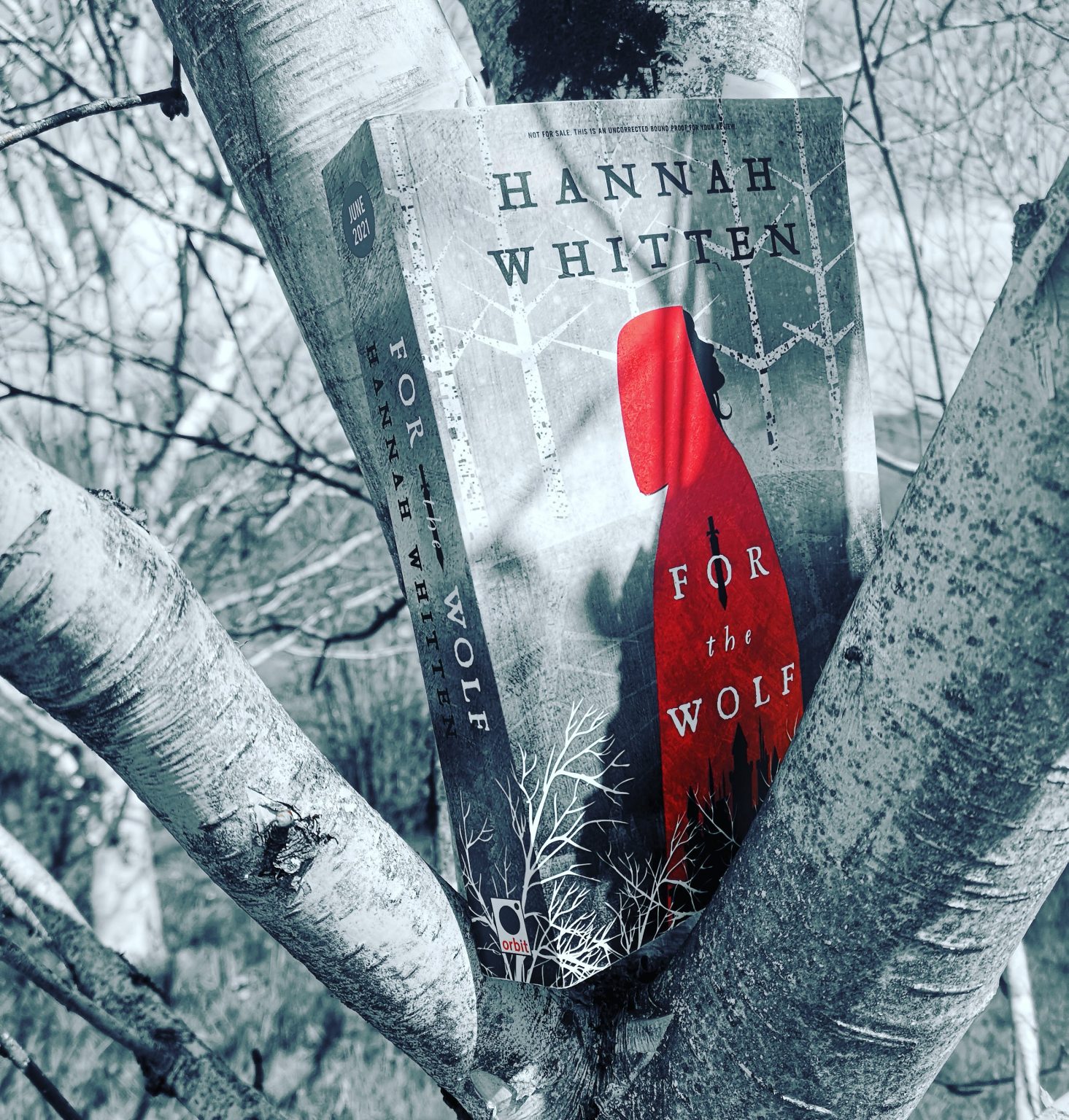FOR THE WOLF by Hannah Whitten (BUDDY READ BOOK REVIEW) | Fantasy-Hive