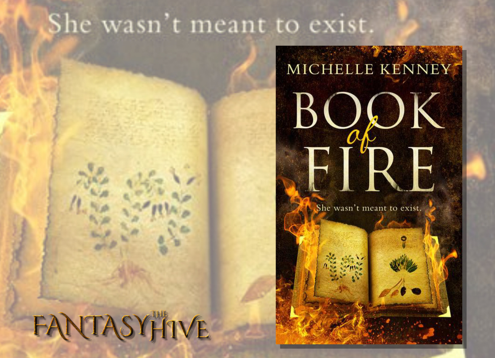 THE BOOK OF FIRE TRILOGY by Michelle Kenney (BOOK REVIEW) | Fantasy-Hive