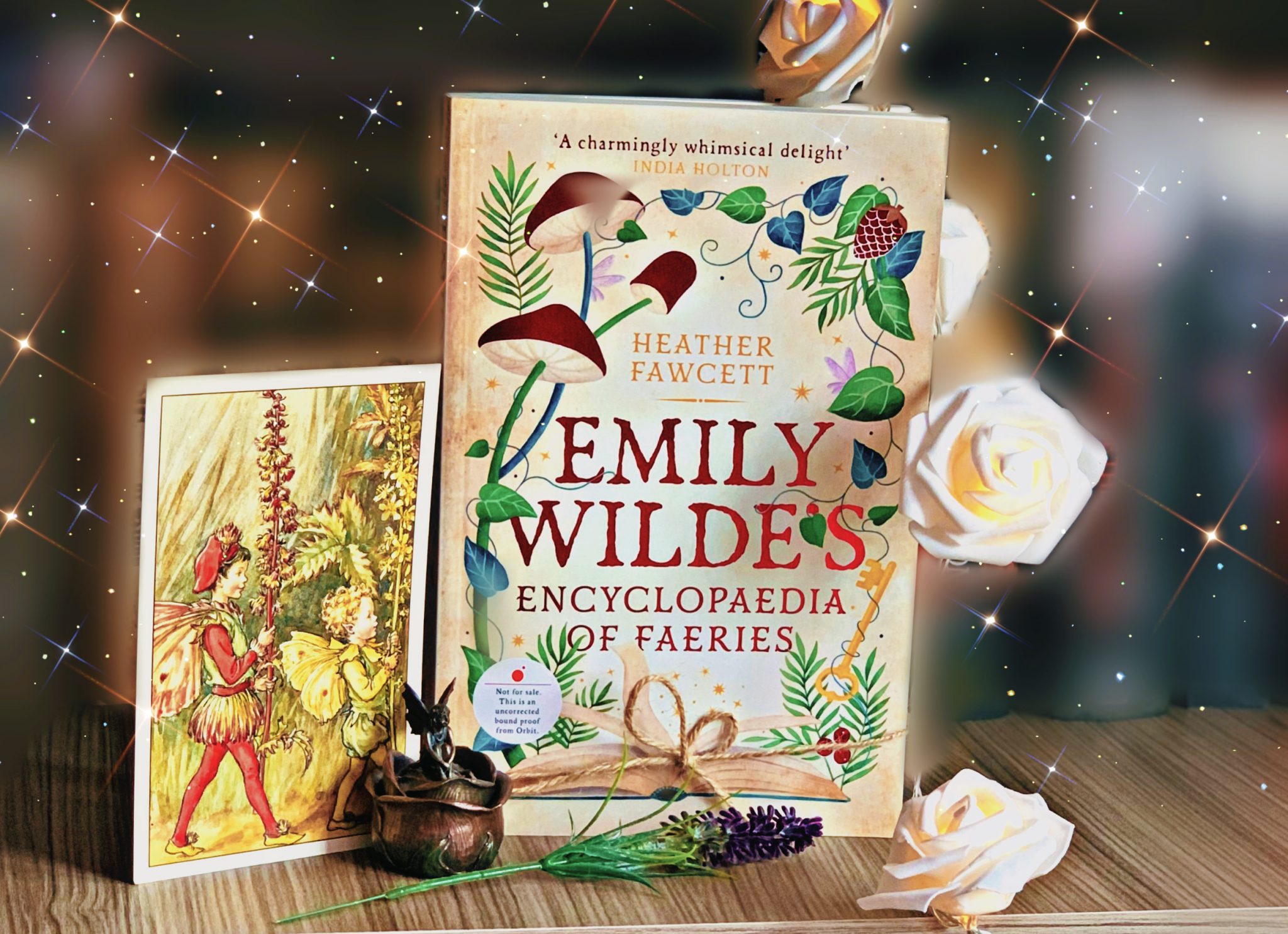 EMILY WILDE'S ENCYCLOPAEDIA OF FAERIES by Heather Fawcett (BOOK REVIEW ...