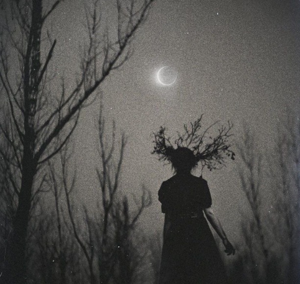 Interview with Kate Golden (A DAWN OF ONYX) | Fantasy-Hive