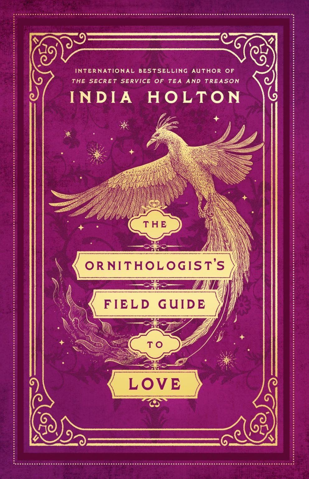 THE ORNITHOLOGIST'S FIELD GUIDE TO LOVE by India Holton (BOOK REVIEW ...